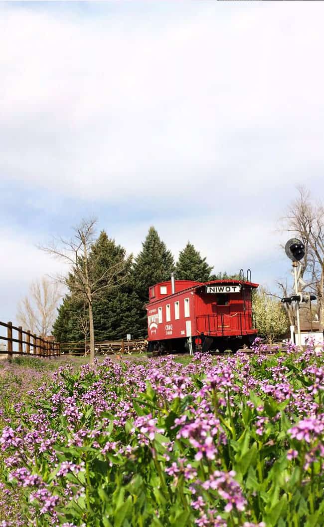 Things to Do in Niwot - Events, Trails, Art & Local Attractions - Niwot.com